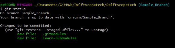List Git Submodules | Delft Stack